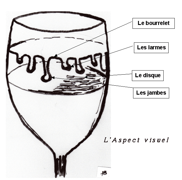 Les larmes du vin, un signe de qualité